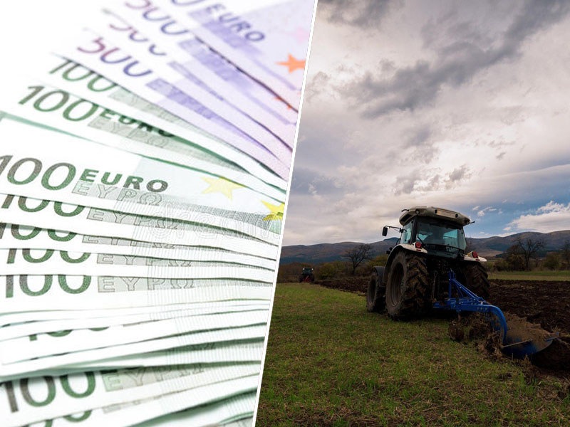 Jemali bodo delovnim in uspešnim, da bi delili velikim neplačnikom: V ...